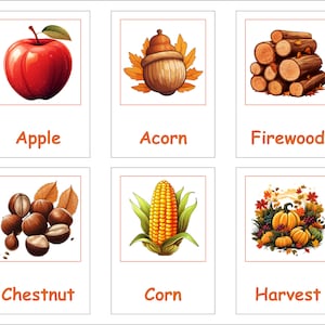 30 Fall Flashcards for Kids, Autumn-themed Vocabulary Cards, Seasonal ...