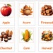 30 Fall Flashcards for Kids, Autumn-themed Vocabulary Cards, Seasonal ...