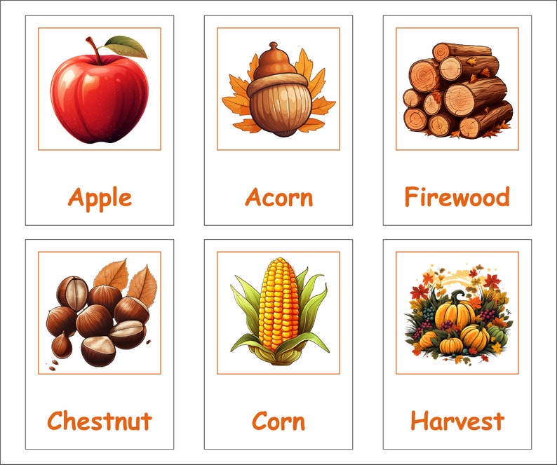 30 Fall Flashcards for Kids, Autumn-themed Vocabulary Cards, Seasonal ...