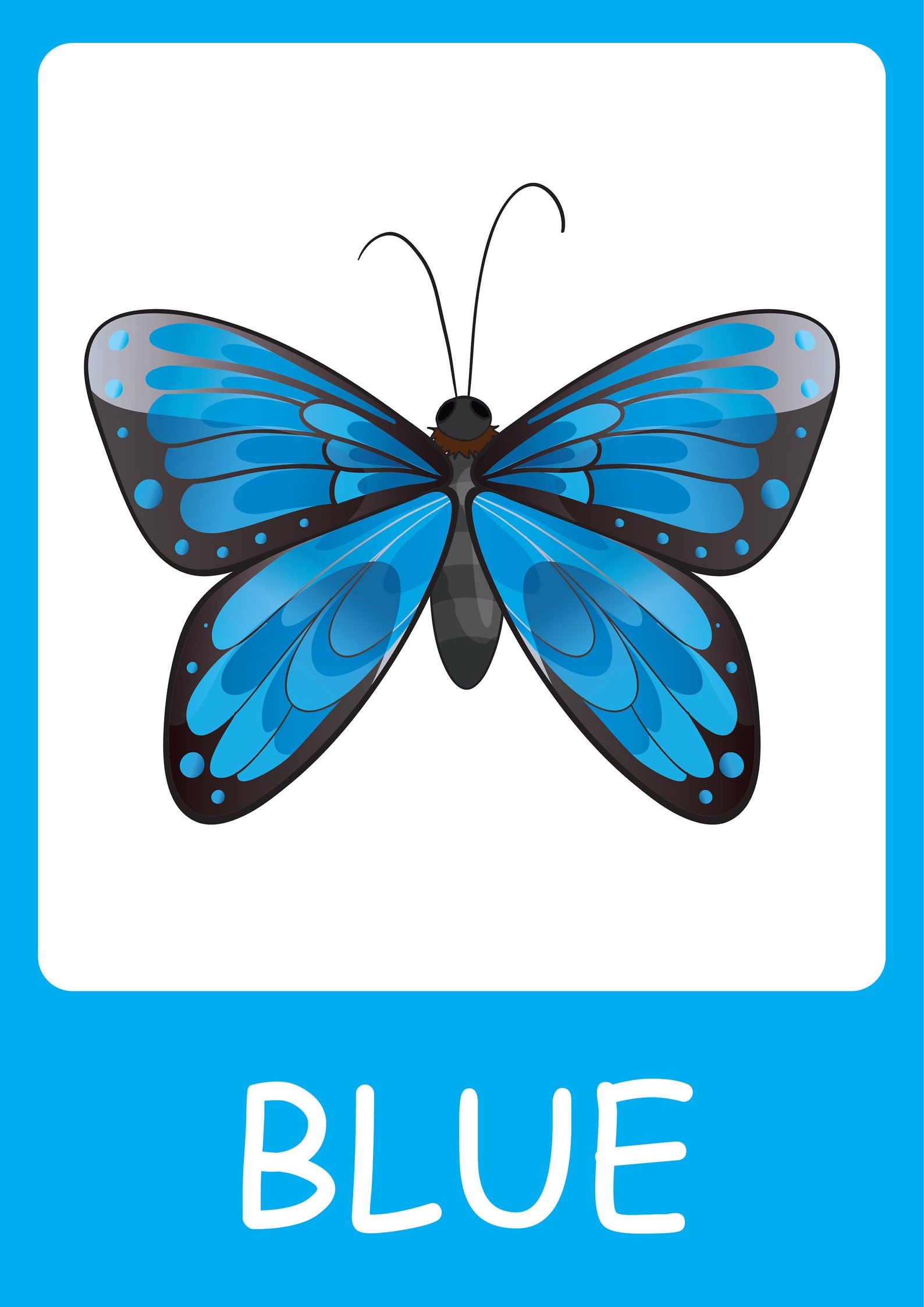 Printable Colour Flash Cards, Color Learning Cards, Preschool ...