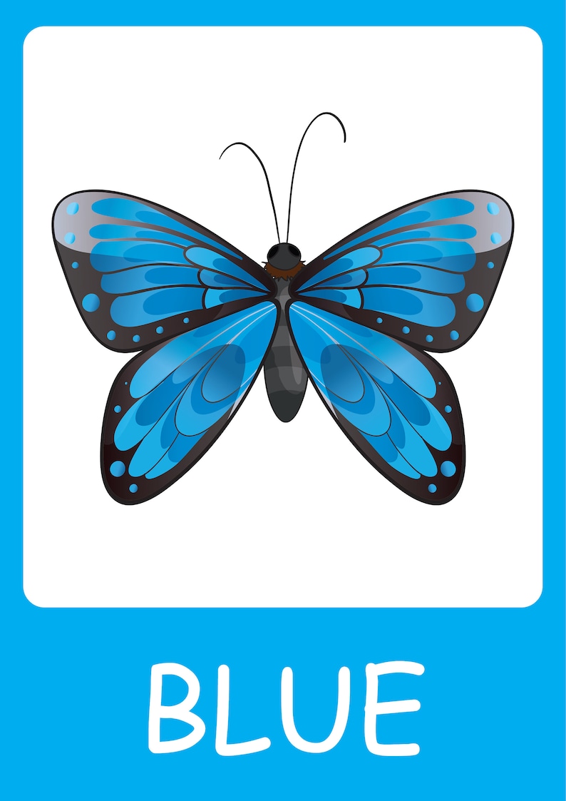 Printable Colour Flash Cards, Color Learning Cards, Preschool ...