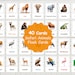 40 Safari Animals Flashcards, Printable Animal Flashcards, Animals ...