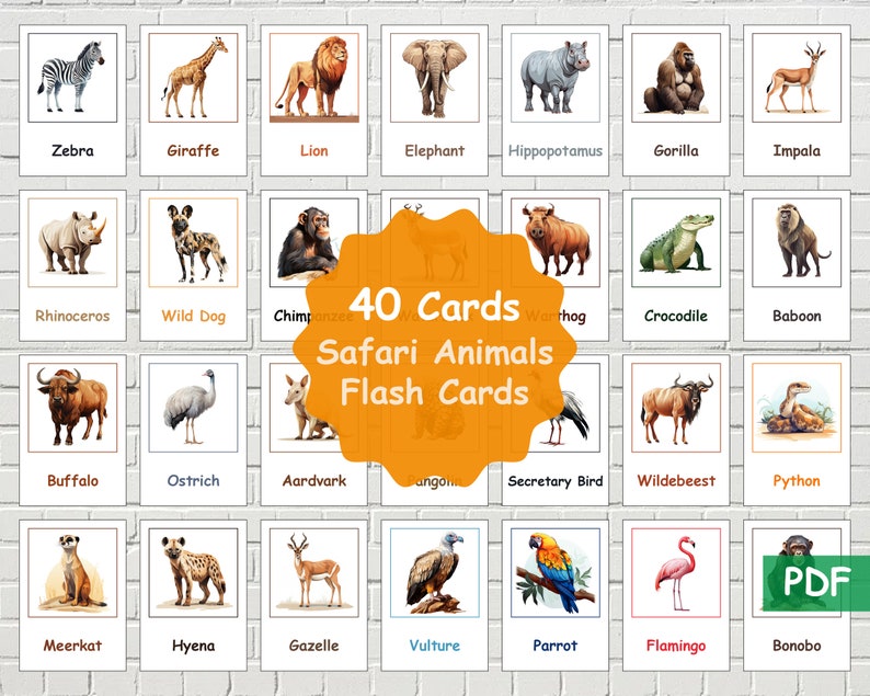 40 Safari Animals Flashcards, Printable Animal Flashcards, Animals ...