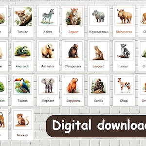 23 Jungle Animals Flashcards, Wildlife Learning PDF, Animals Vocabulary ...