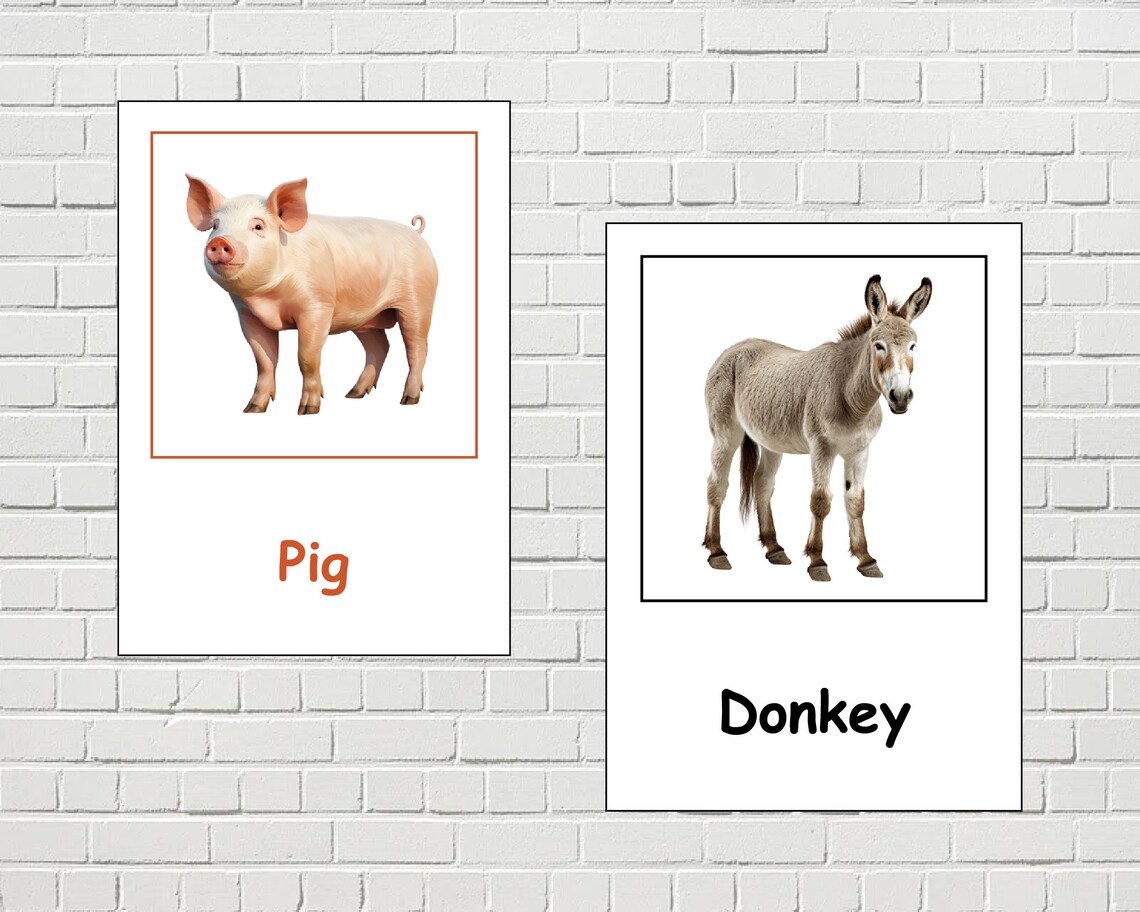 32 Domestic Animals Flashcards, Farm Animals Flashcards, Animals ...