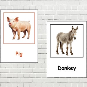 32 Domestic Animals Flashcards, Farm Animals Flashcards, Animals ...