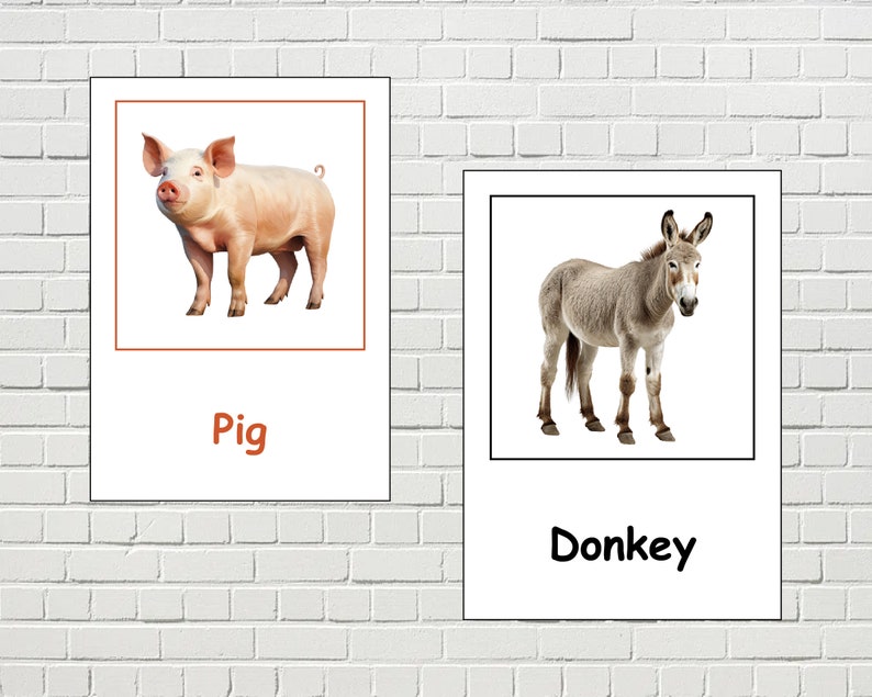 32 Domestic Animals Flashcards, Farm Animals Flashcards, Animals ...
