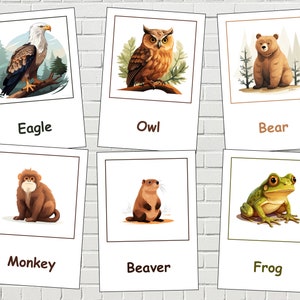 30 Forest Animals Flashcards, Forest Animals Vocabulary, Printable ...