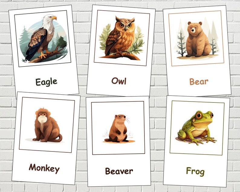30 Forest Animals Flashcards, Forest Animals Vocabulary, Printable ...