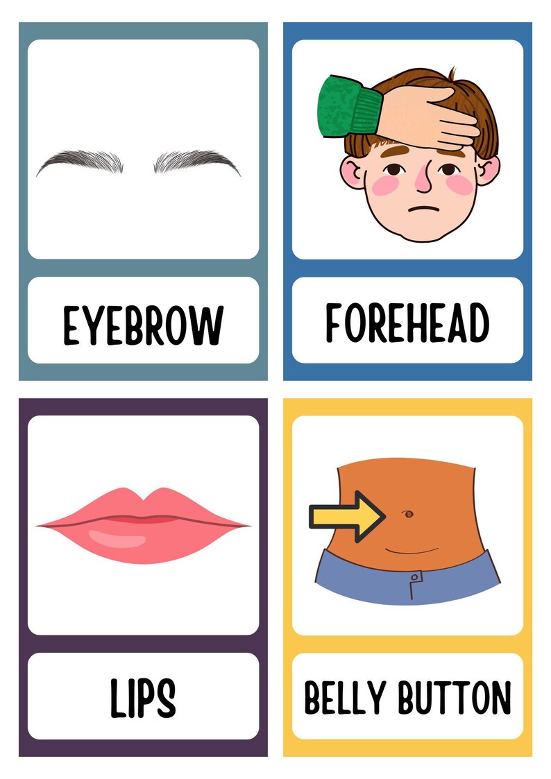 Body Parts Flashcards, Body Parts Activity, Preschool Activities, My ...