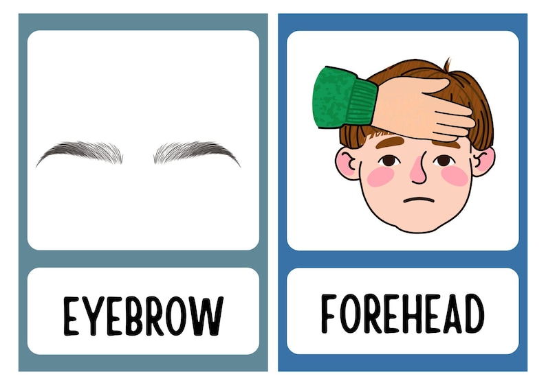 Body Parts Flashcards, Body Parts Activity, Preschool Activities, My ...