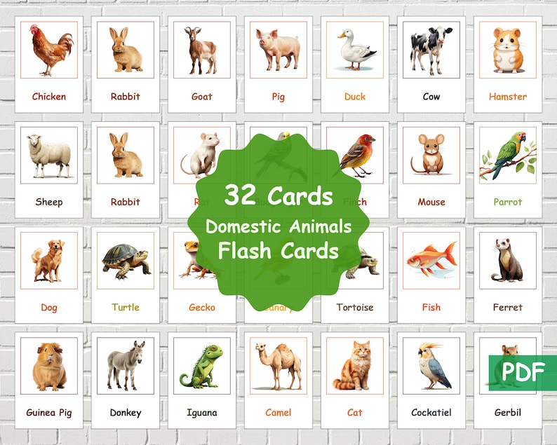 32 Domestic Animals Flashcards, Farm Animals Flashcards, Animals ...
