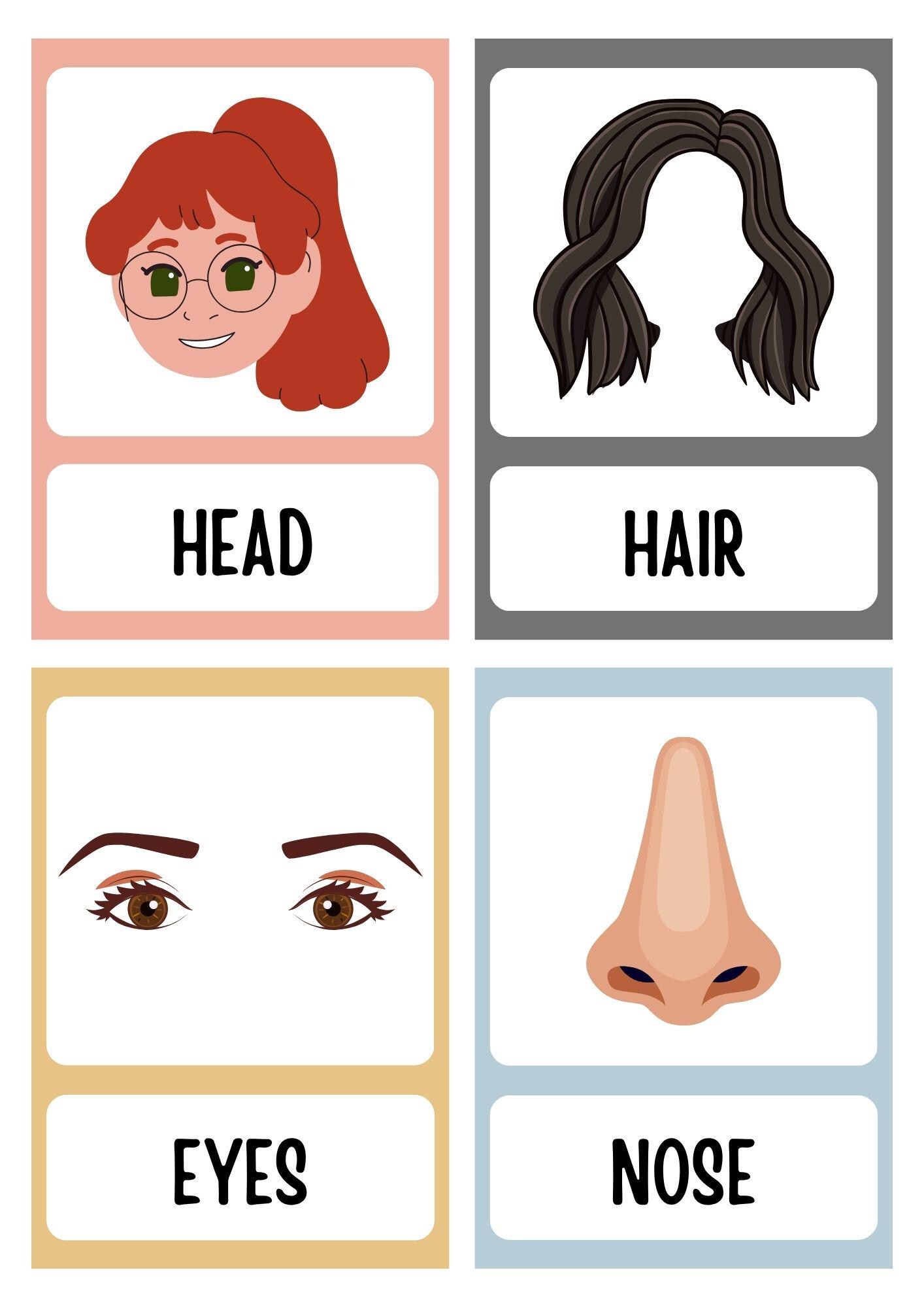 Body Parts Flashcards, Body Parts Activity, Preschool Activities, My ...
