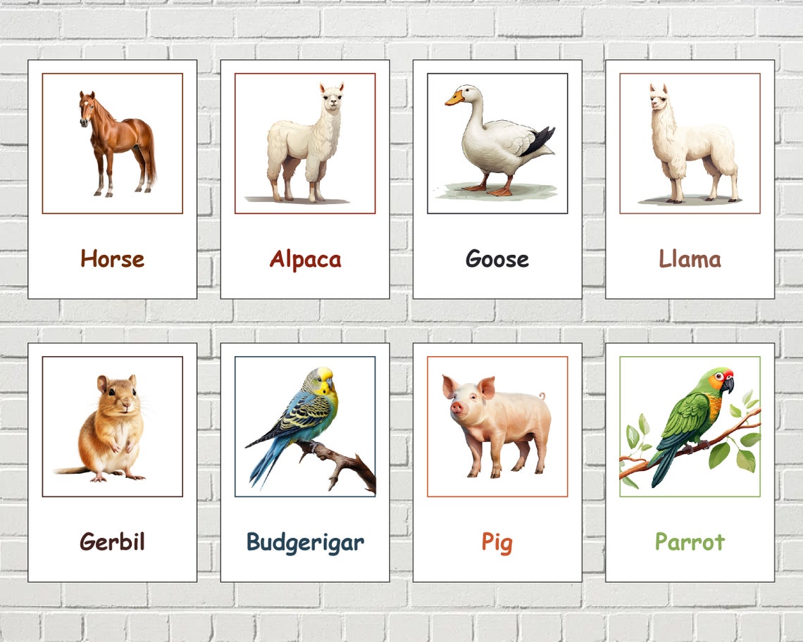 32 Domestic Animals Flashcards, Farm Animals Flashcards, Animals ...