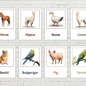 32 Domestic Animals Flashcards, Farm Animals Flashcards, Animals ...