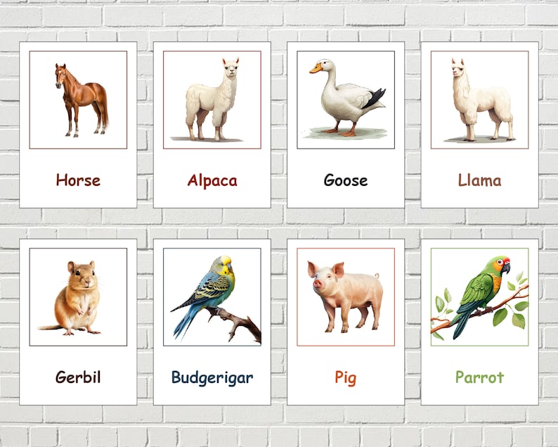 32 Domestic Animals Flashcards, Farm Animals Flashcards, Animals ...