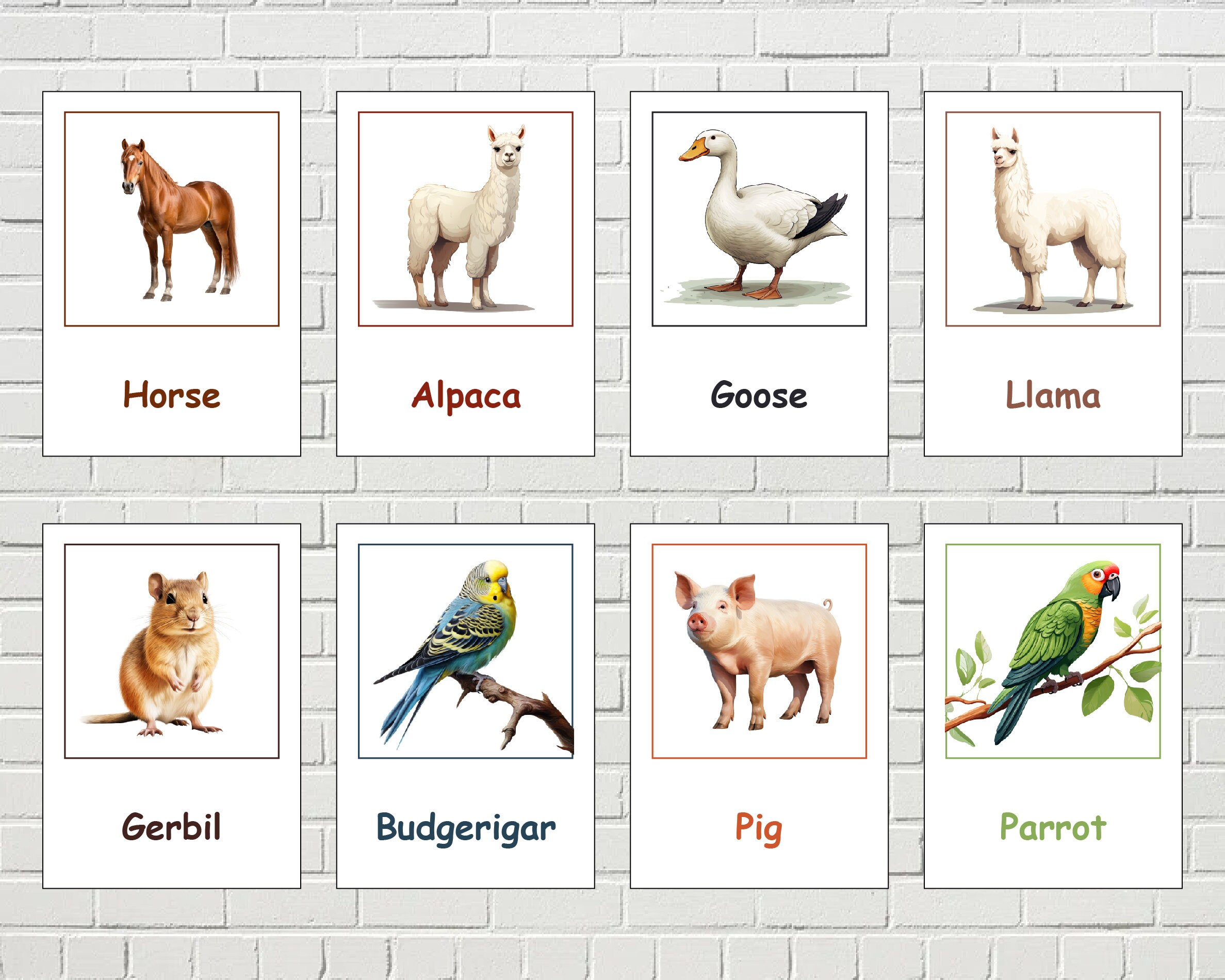32 Domestic Animals Flashcards, Farm Animals Flashcards, Animals ...