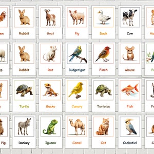 32 Domestic Animals Flashcards, Farm Animals Flashcards, Animals ...