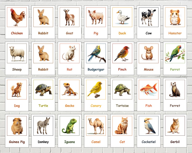 32 Domestic Animals Flashcards, Farm Animals Flashcards, Animals ...