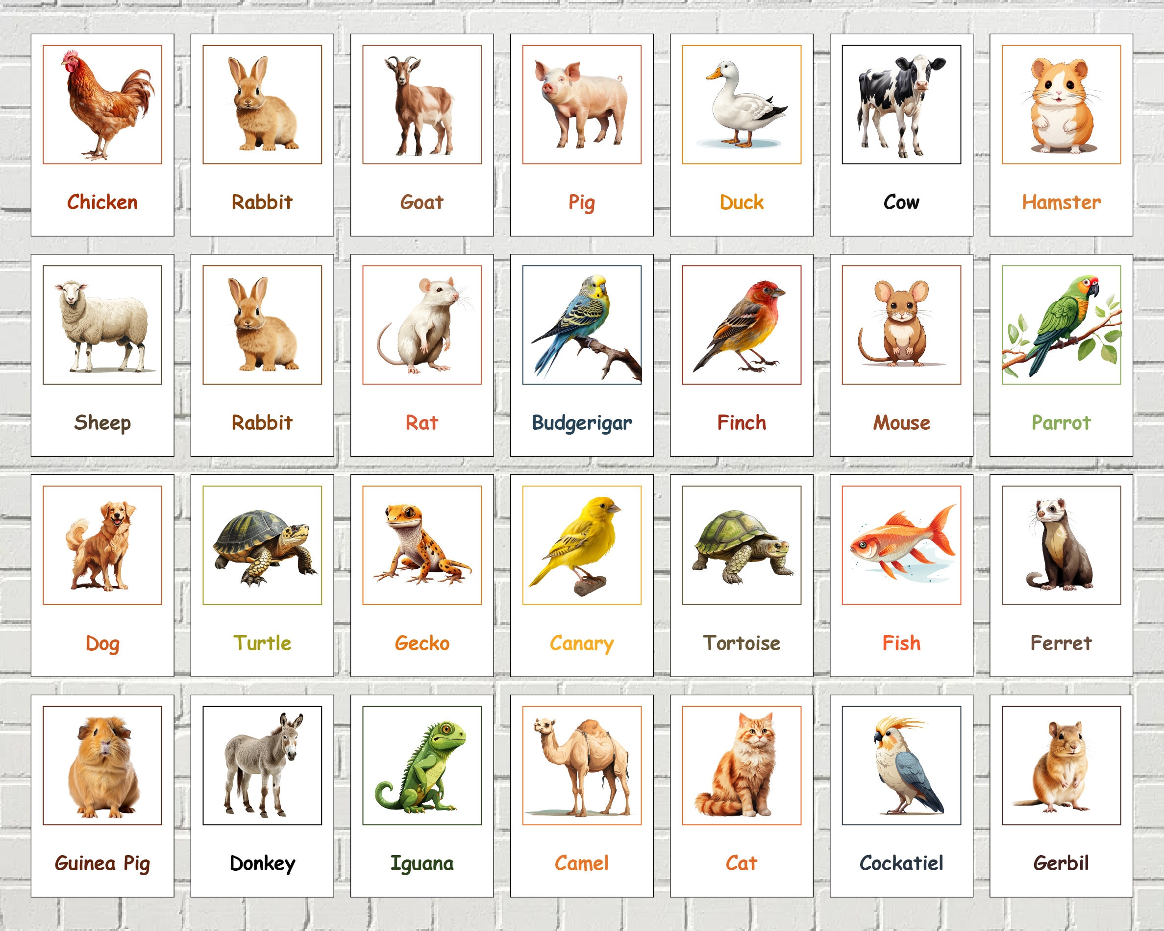 32 Domestic Animals Flashcards, Farm Animals Flashcards, Animals ...