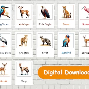 40 Safari Animals Flashcards, Printable Animal Flashcards, Animals ...
