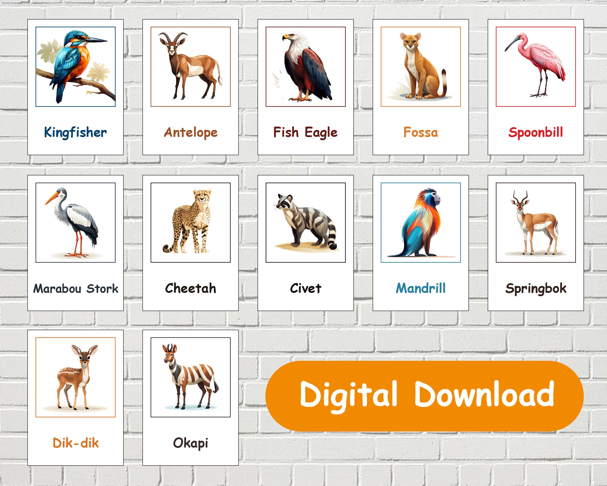 40 Safari Animals Flashcards, Printable Animal Flashcards, Animals ...