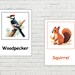 30 Forest Animals Flashcards, Forest Animals Vocabulary, Printable ...