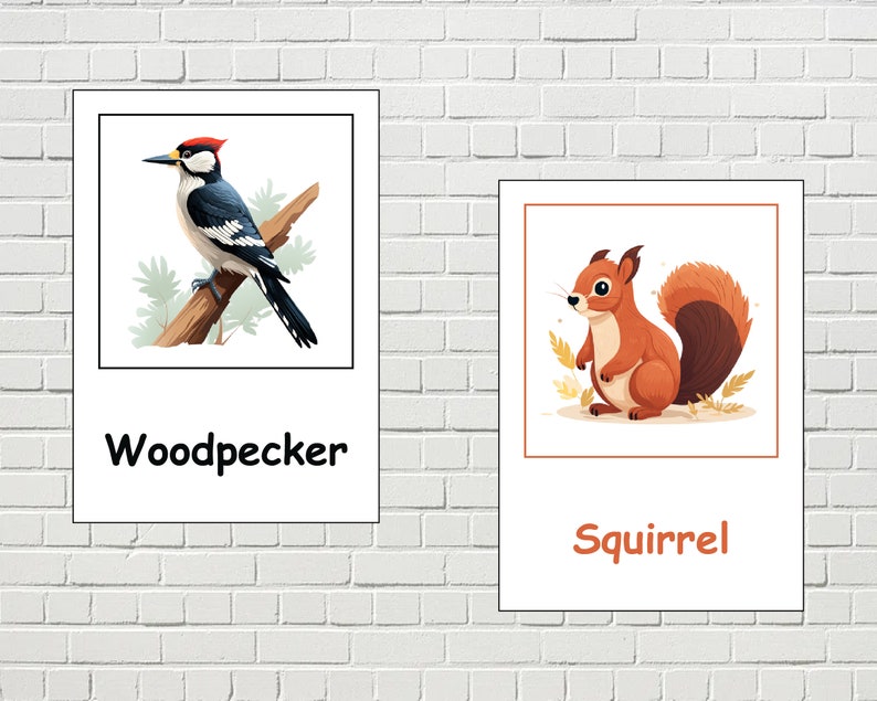 30 Forest Animals Flashcards, Forest Animals Vocabulary, Printable ...