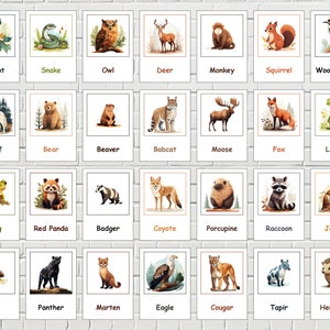 30 Forest Animals Flashcards, Forest Animals Vocabulary, Printable ...