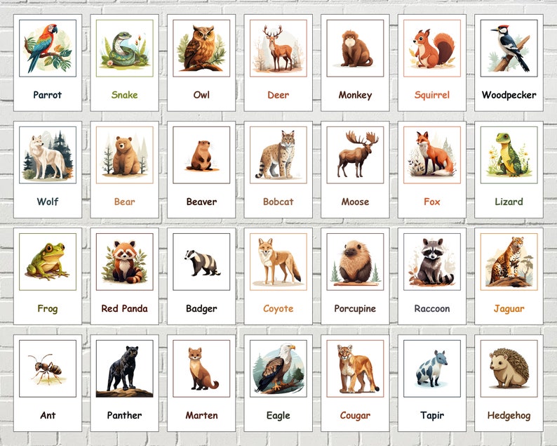 30 Forest Animals Flashcards, Forest Animals Vocabulary, Printable ...