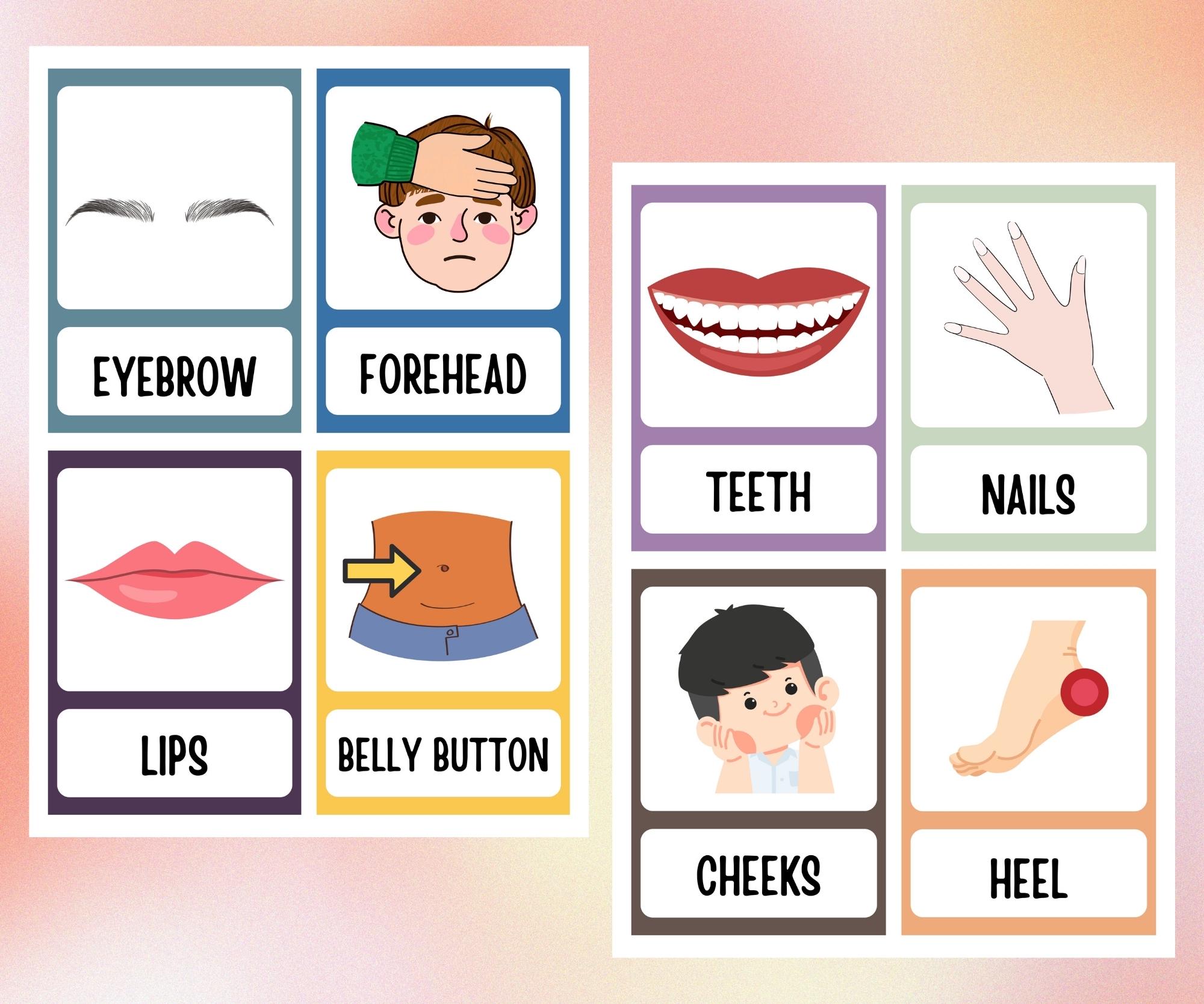 Body Parts Flashcards, Body Parts Activity, Preschool Activities, My ...