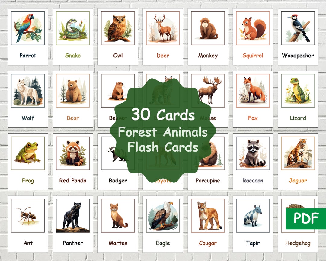 30 Forest Animals Flashcards, Forest Animals Vocabulary, Printable ...