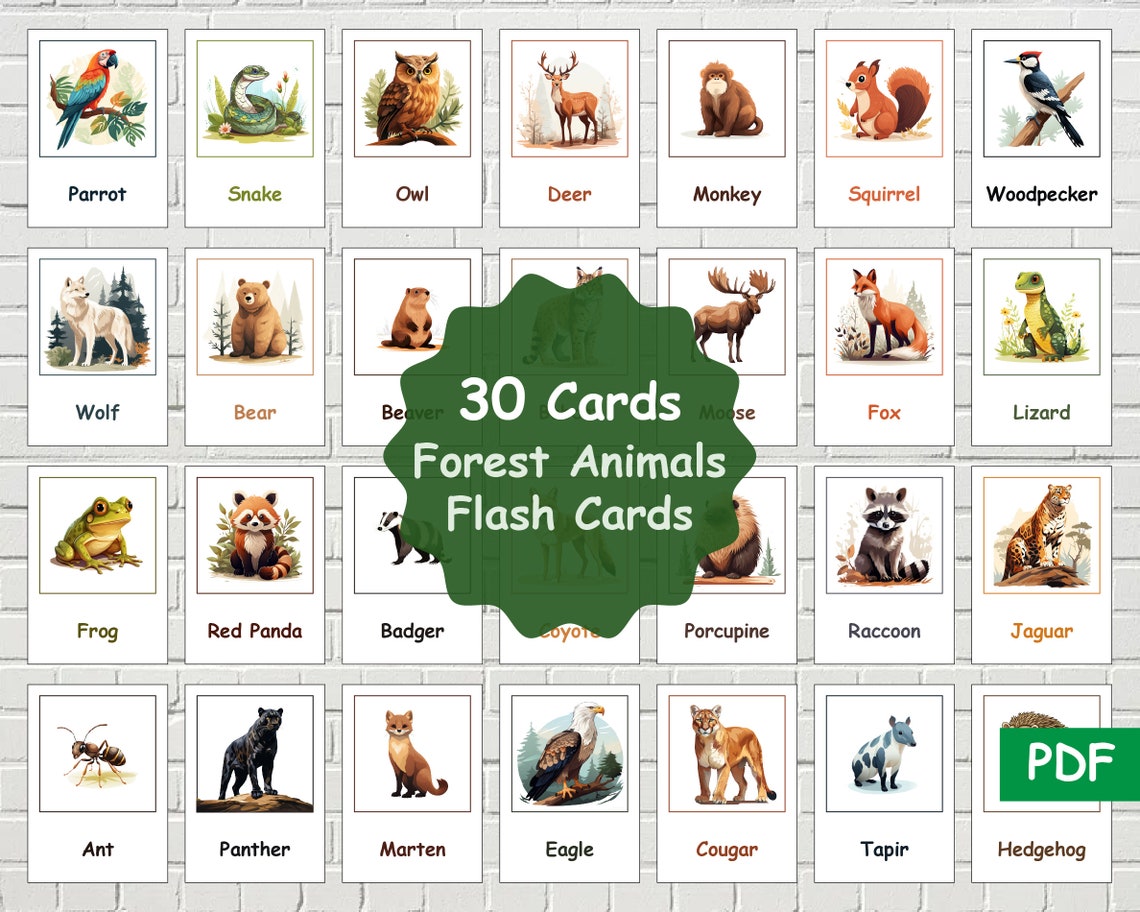 30 Forest Animals Flashcards, Forest Animals Vocabulary, Printable ...