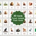 30 Forest Animals Flashcards, Forest Animals Vocabulary, Printable ...