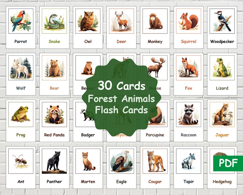 30 Forest Animals Flashcards, Forest Animals Vocabulary, Printable ...