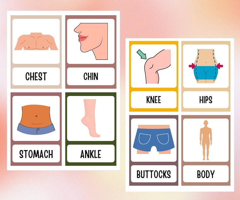 Body Parts Flashcards, Body Parts Activity, Preschool Activities, My ...
