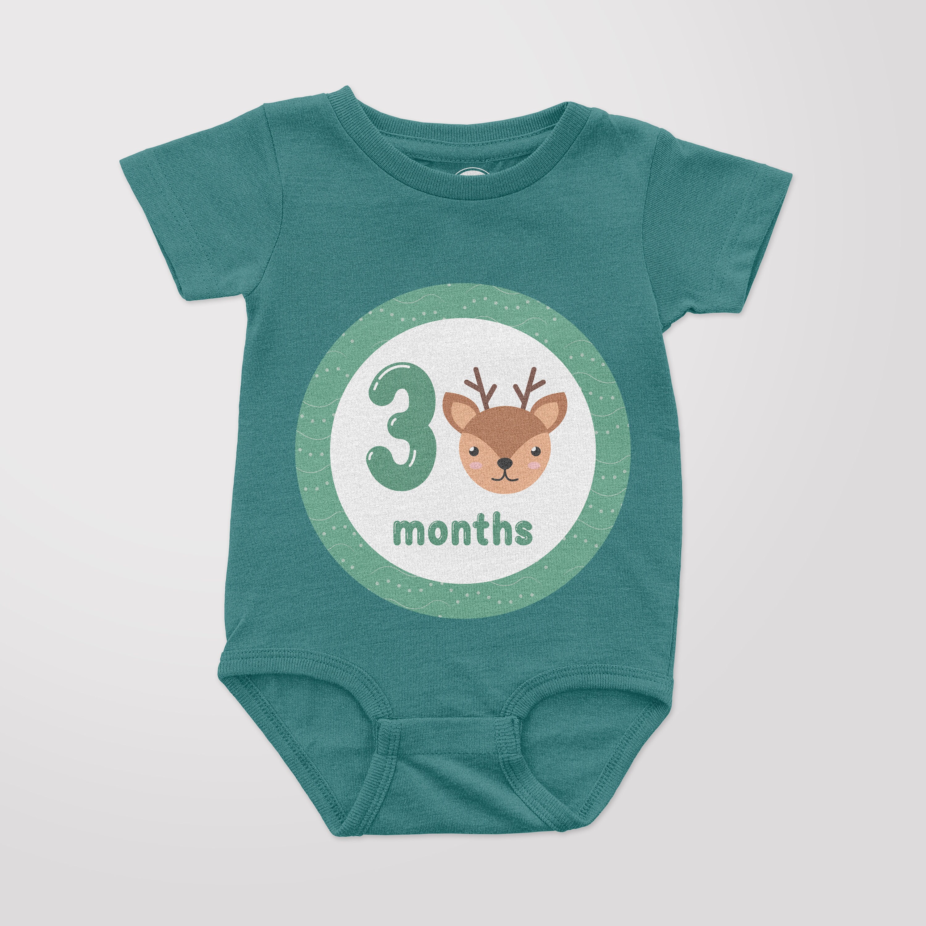 Monthly Baby Stickers SVG, Baby Monthly Sticker Unisex, Baby Monthly ...