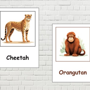 23 Jungle Animals Flashcards, Wildlife Learning PDF, Animals Vocabulary ...