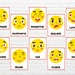 Feelings Faces, Emotion Flashcards, Kids Emotions and Feelings Cards ...
