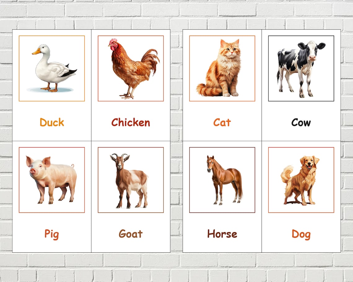 32 Domestic Animals Flashcards, Farm Animals Flashcards, Animals ...