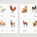 32 Domestic Animals Flashcards Farm Animals Flashcards - Etsy
