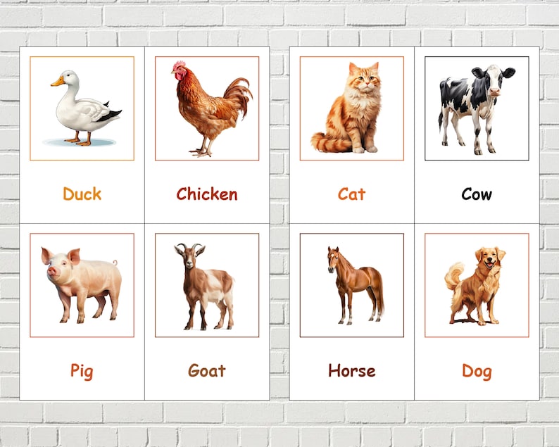 32 Domestic Animals Flashcards, Farm Animals Flashcards, Animals ...