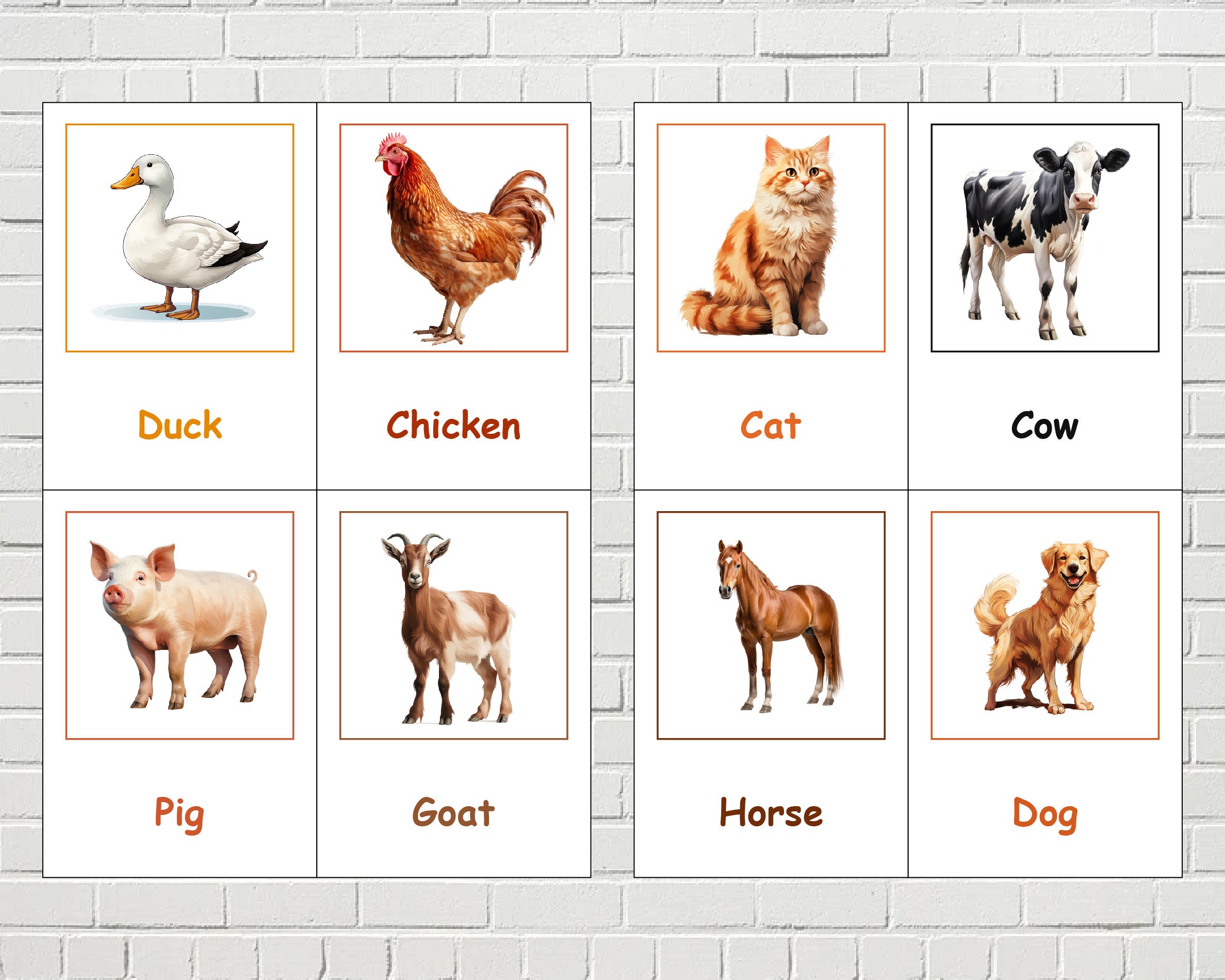 32 Domestic Animals Flashcards, Farm Animals Flashcards, Animals ...