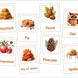 30 Fall Flashcards for Kids, Autumn-themed Vocabulary Cards, Seasonal ...