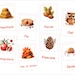 30 Fall Flashcards for Kids, Autumn-themed Vocabulary Cards, Seasonal ...