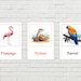 40 Safari Animals Flashcards, Printable Animal Flashcards, Animals ...
