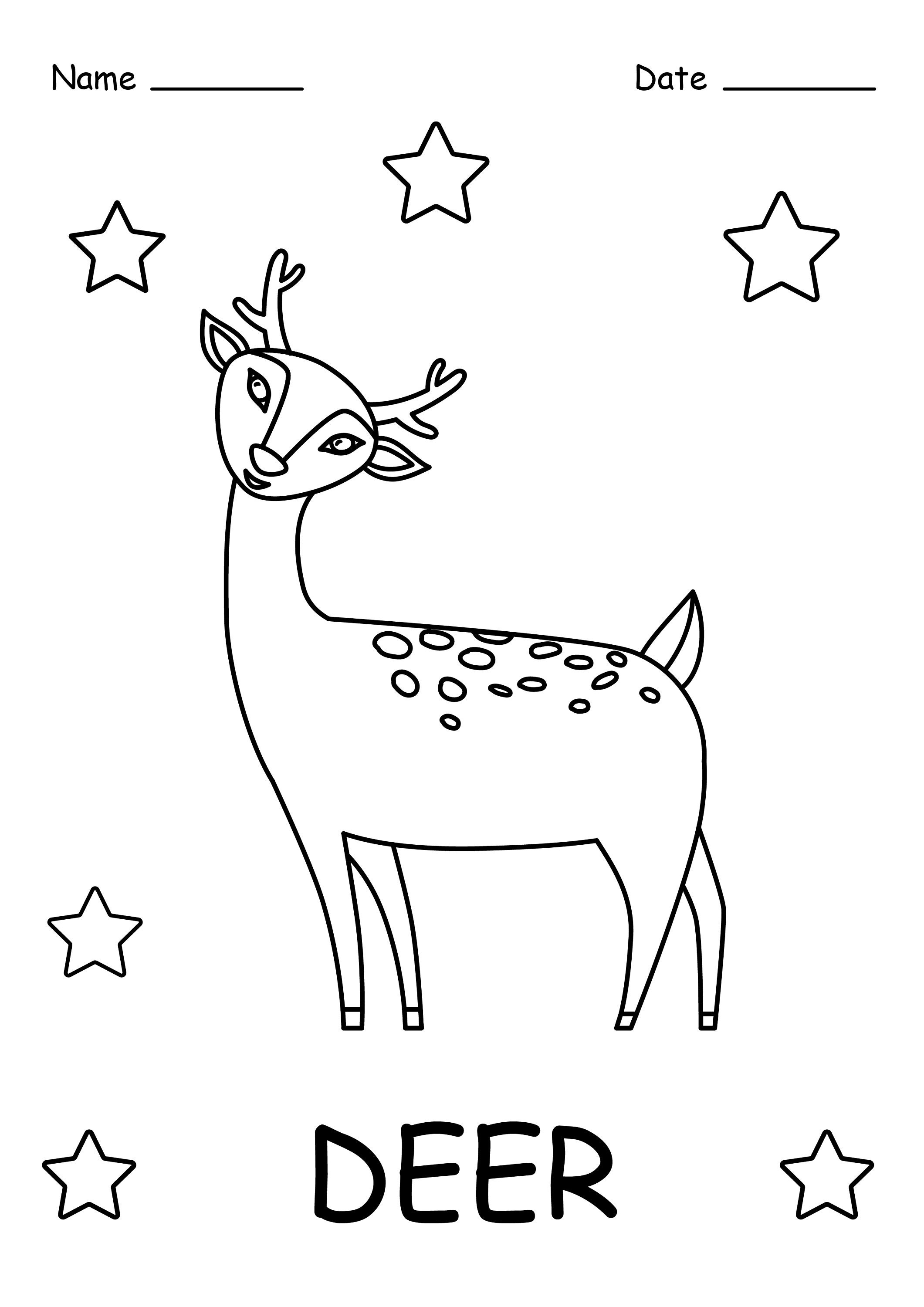 20 Wild Animals Coloring Pages, Animals Coloring Sheets, Wild Animals ...