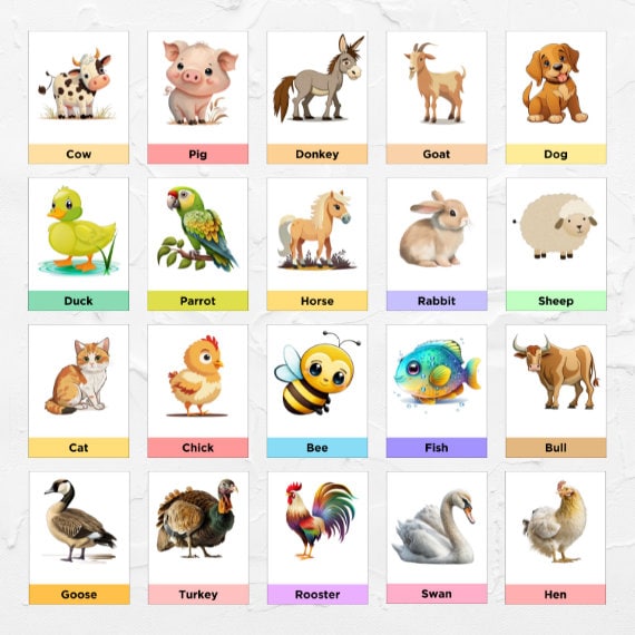 20 Farm Animals Flashcards, Farm Flash Cards, Pre-school Flashcards ...