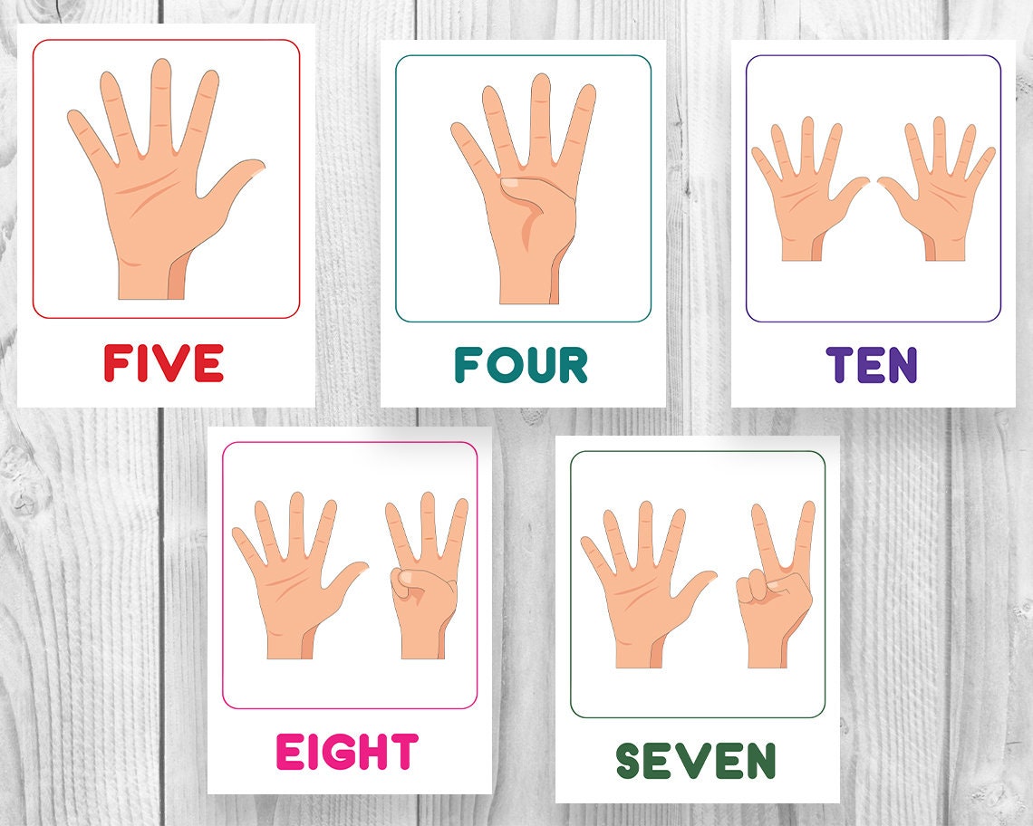 Finger Counting Flash Cards, Hand Counting Cards, Nomenclature Cards ...