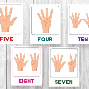 Finger Counting Flash Cards, Hand Counting Cards, Nomenclature Cards ...
